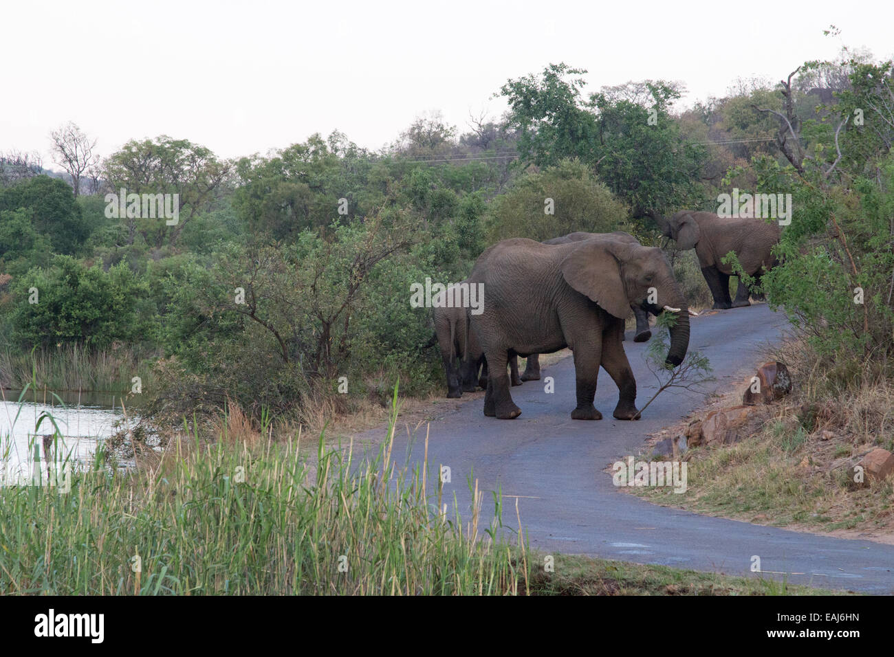 Road block hi-res stock photography and images - Alamy