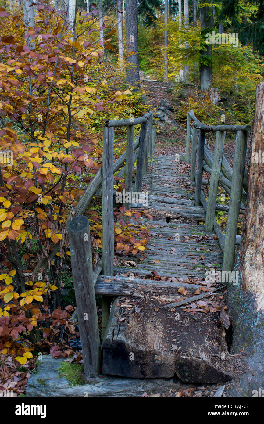 Old wooden pathway hi-res stock photography and images - Alamy