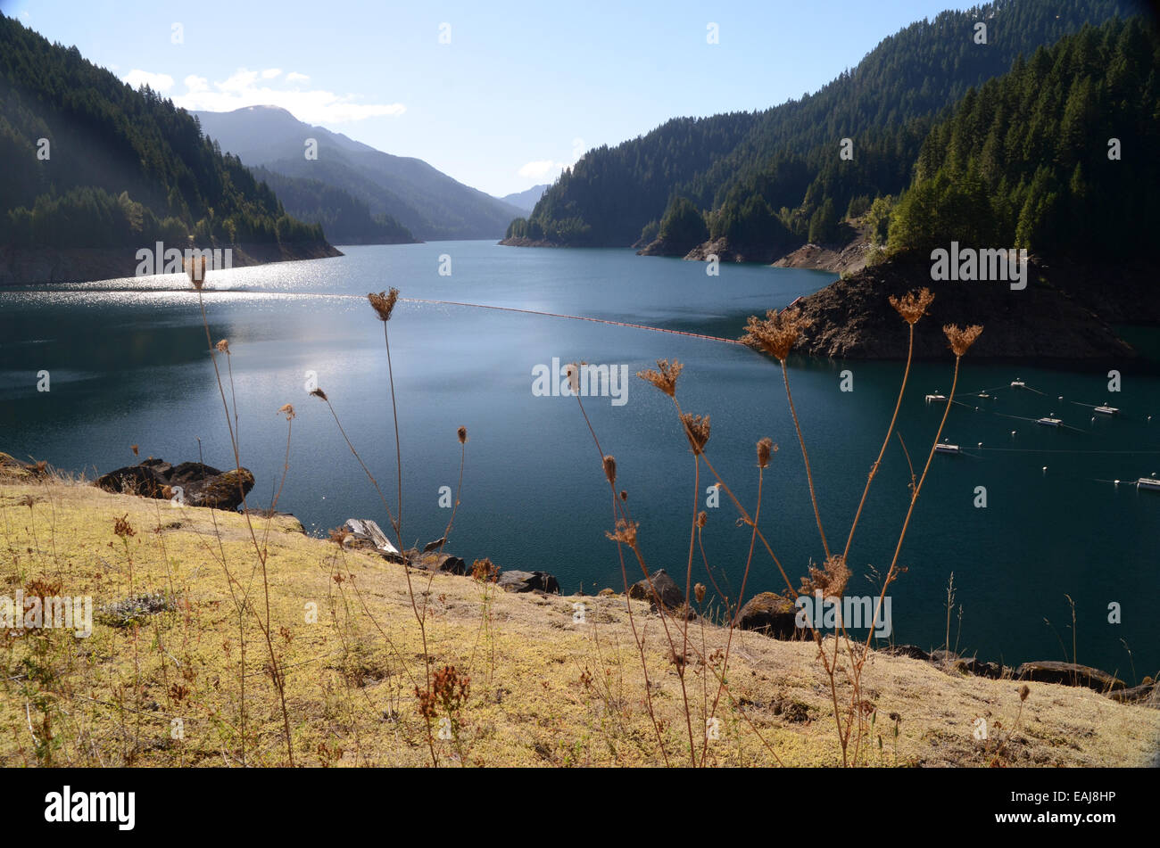 Cougar Reservoir, Oregon, USA Stock Photo - Alamy