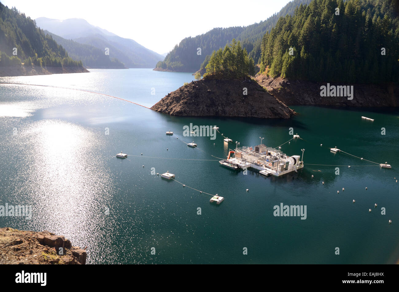Cougar Reservoir, Oregon, USA Stock Photo - Alamy