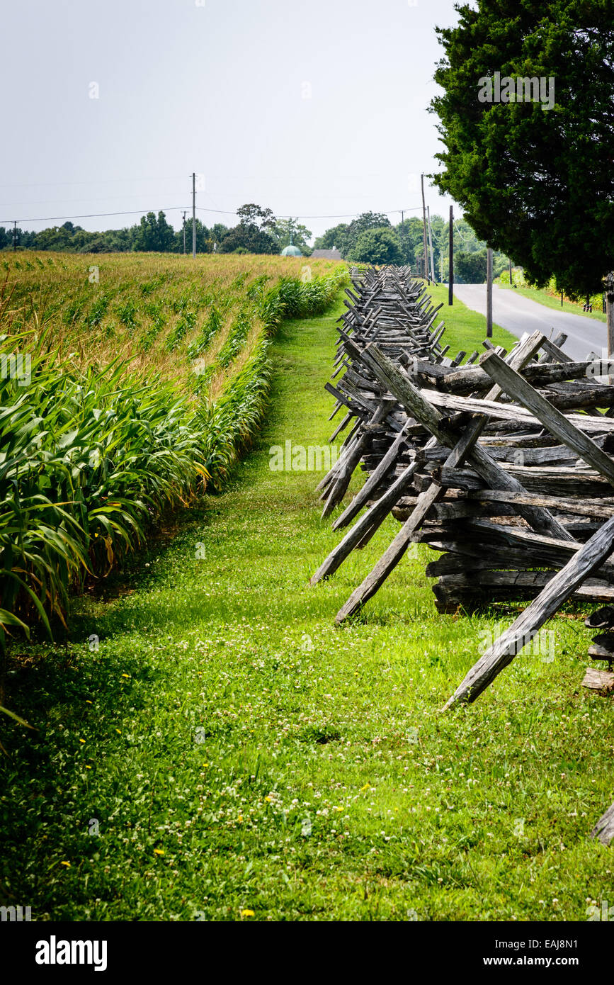Antietam cornfield hi-res stock photography and images - Alamy