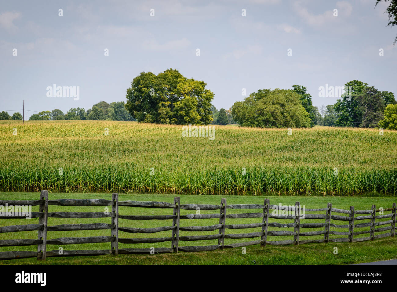 Antietam, mumma farm hi-res stock photography and images - Alamy