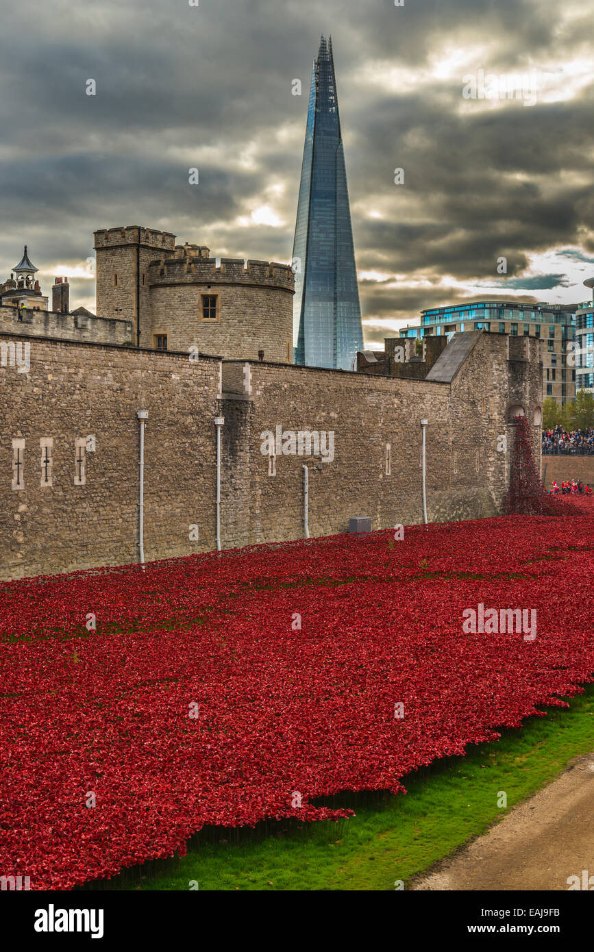 Tower of London and art installation - Blood Swept Lands and Seas of ...
