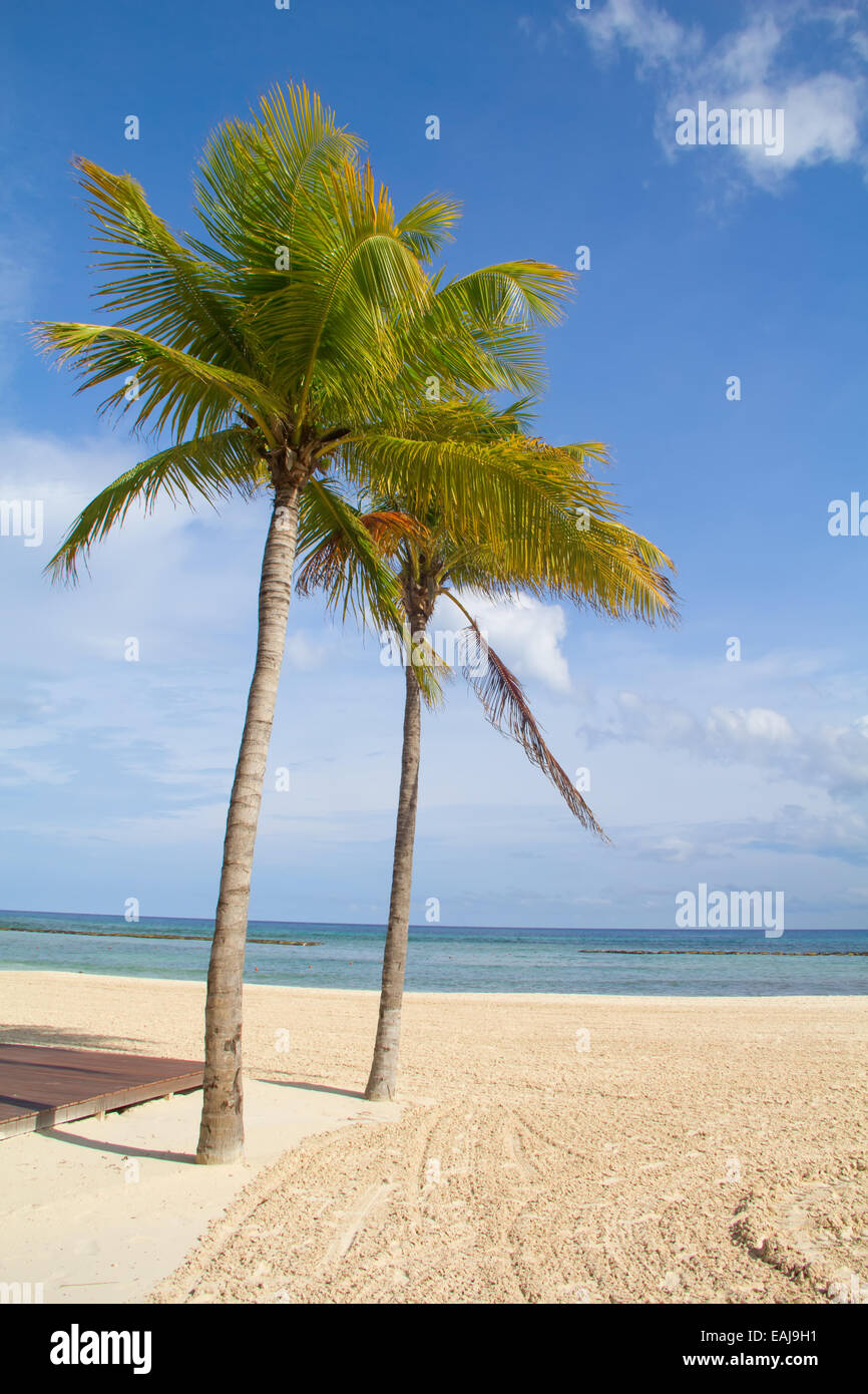 Sandy beach in Cancun, Mexico Stock Photo - Alamy