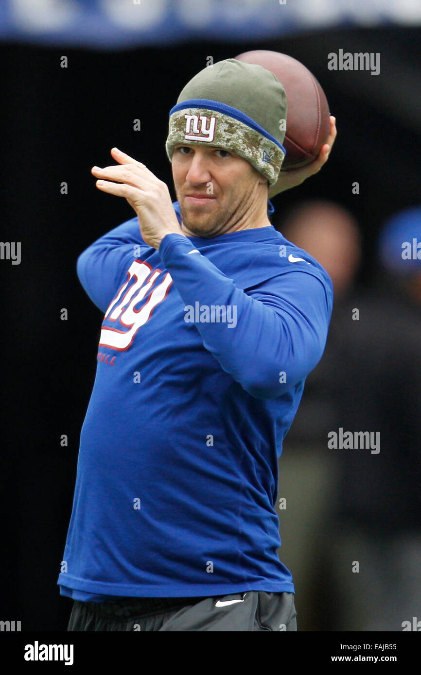 New Jersey, USA. 16th November, 2014. East Rutherford, New Jersey, USA ...