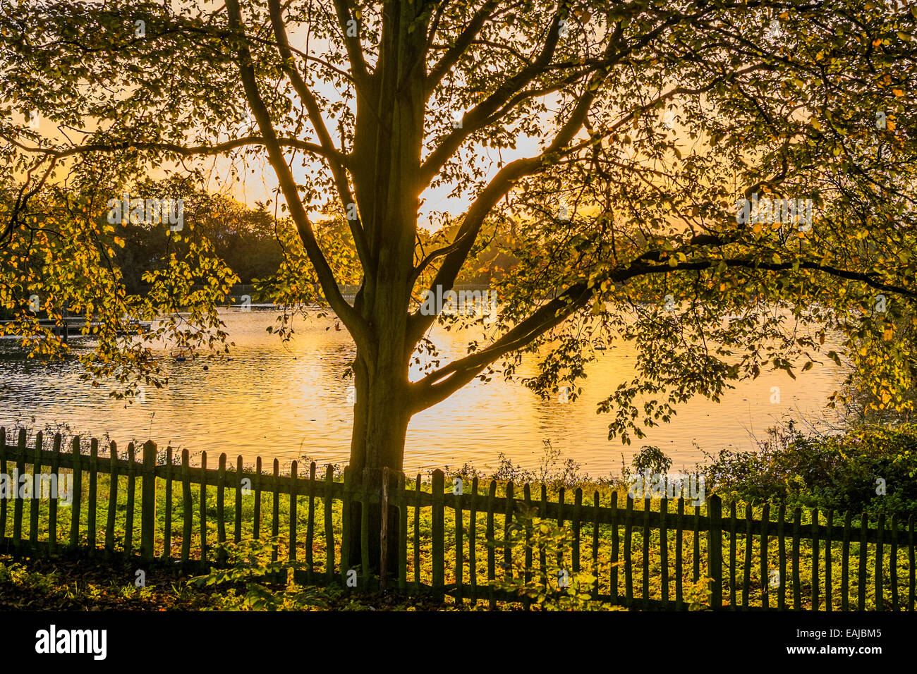 Hampstead heath sunrise hi-res stock photography and images - Alamy