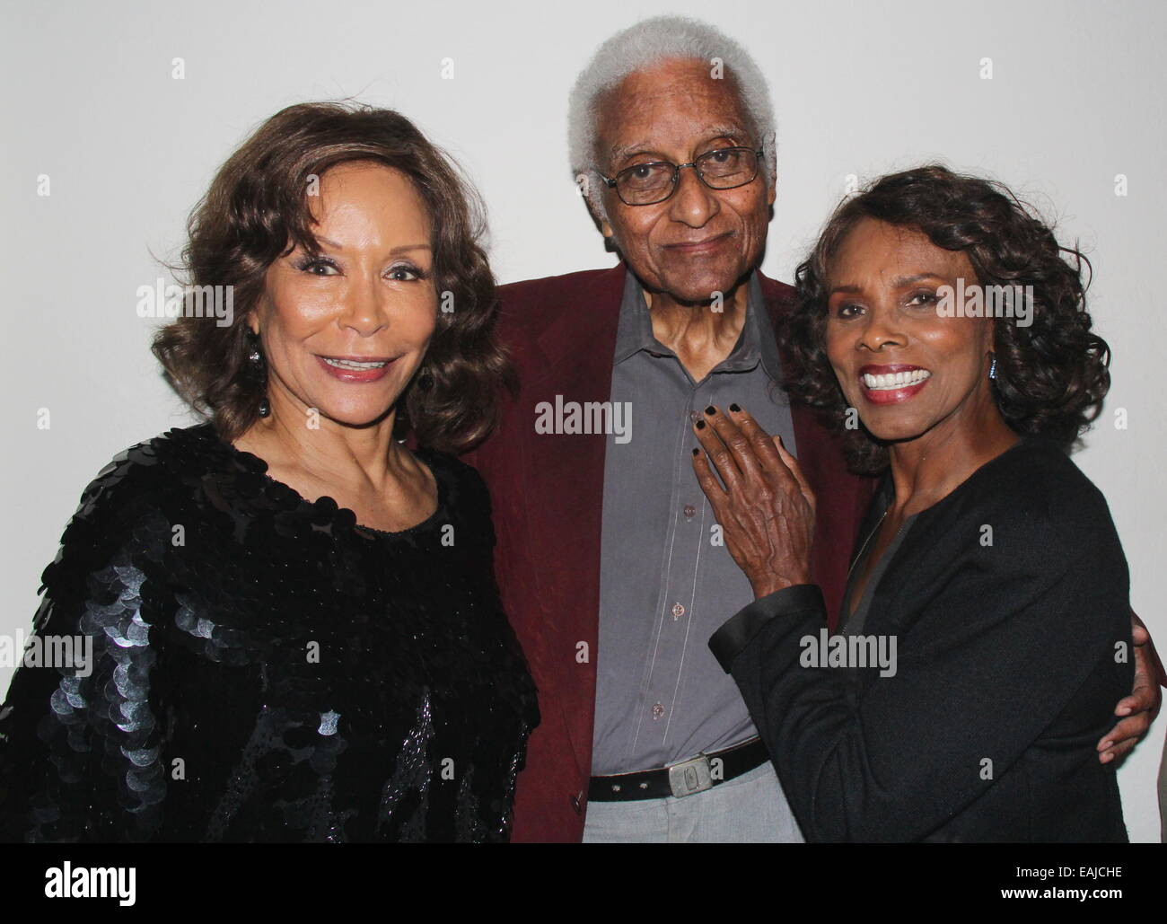 Hollywood, California, USA. 14th Nov, 2014. I15716CHW.Birthday Party ...