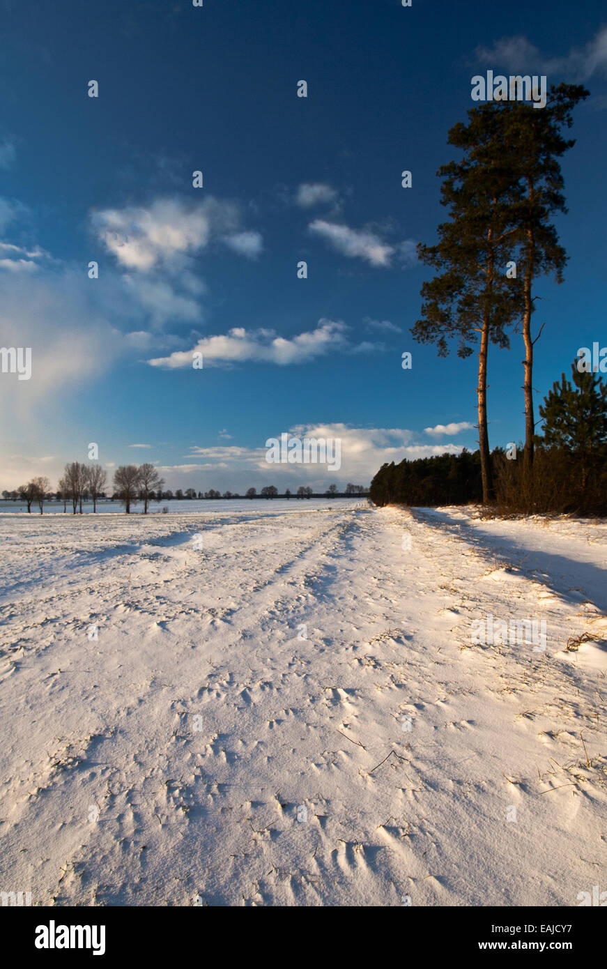 Winter rural landscape of sunset over field Stock Photo - Alamy