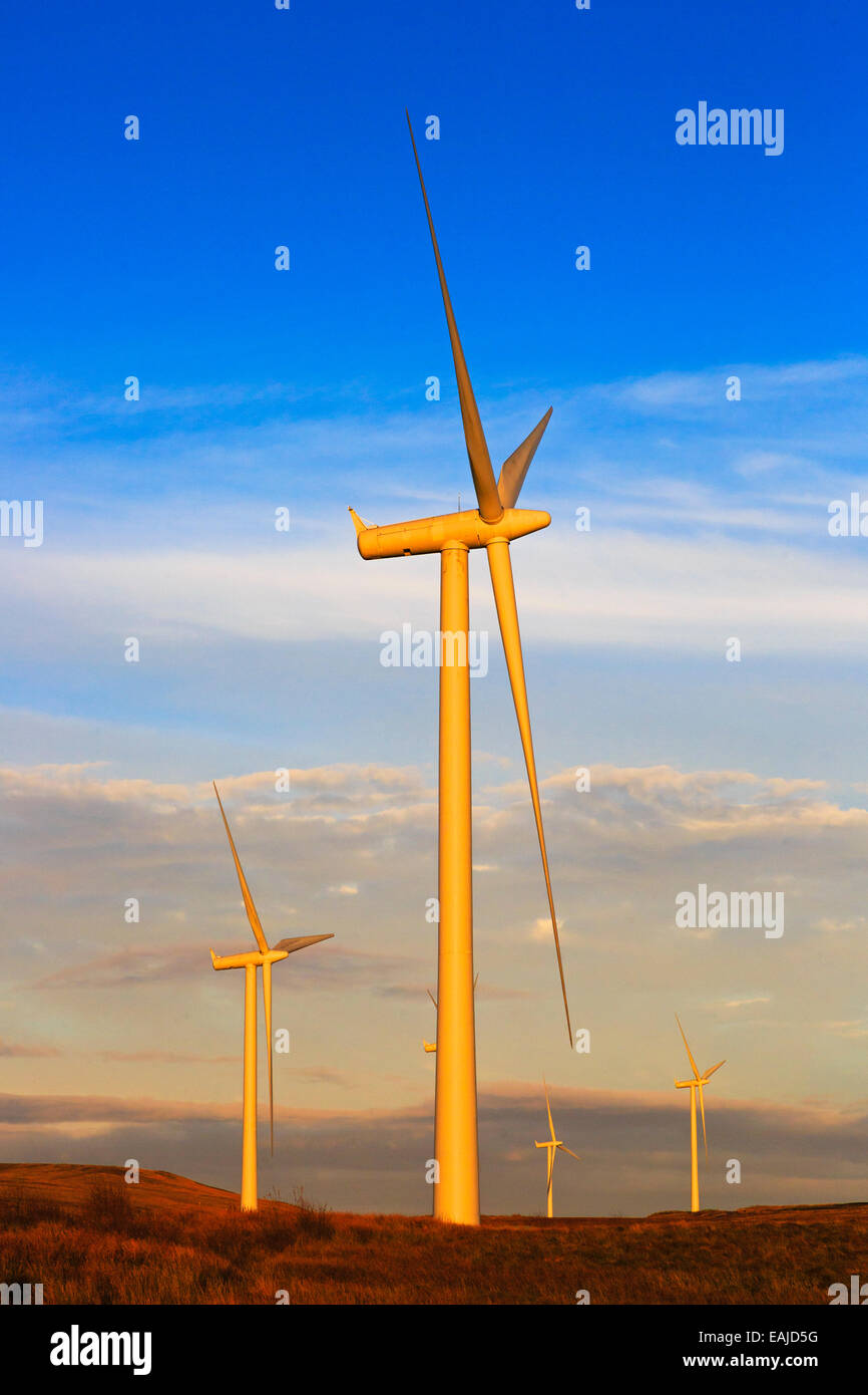 Wind turbines on Eaglesham Moor, near Glasgow, Scotland at sunset. UK ...