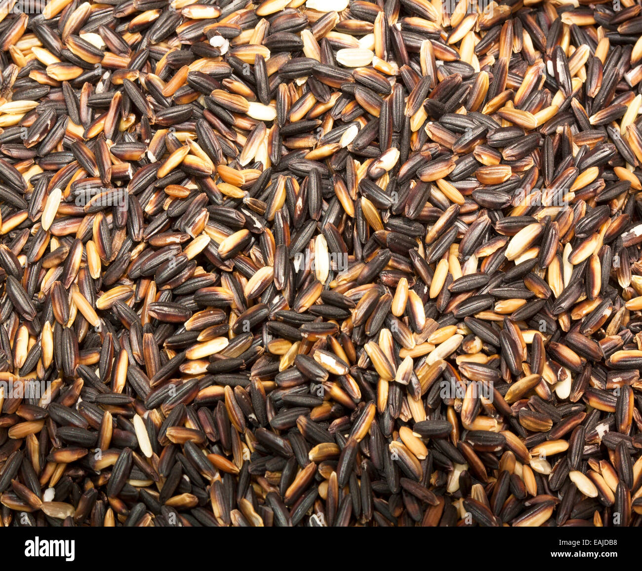 Uncooked brown rice grains background food vitamins Stock Photo - Alamy