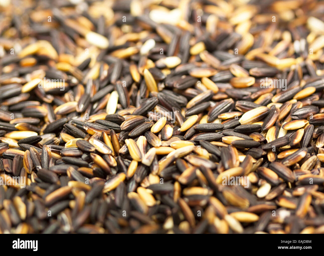 Uncooked brown rice hi-res stock photography and images - Alamy