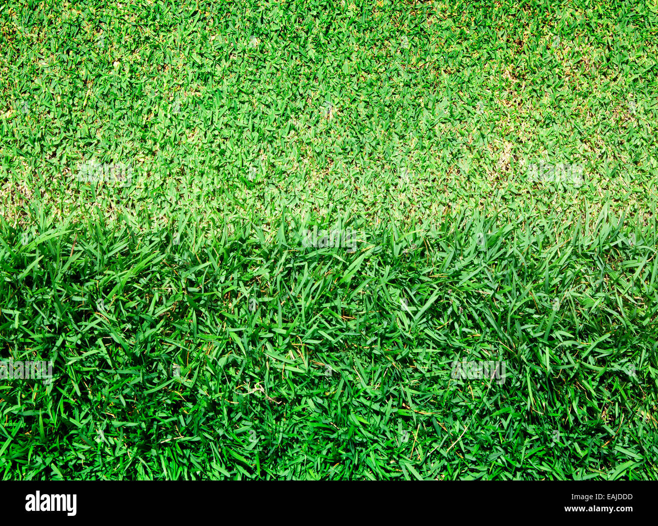 Lawn golf course green grass background texture pattern Stock Photo - Alamy