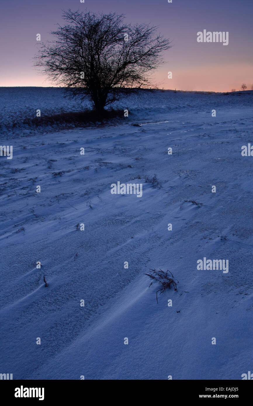 Winter field at sunset landscape Stock Photo - Alamy