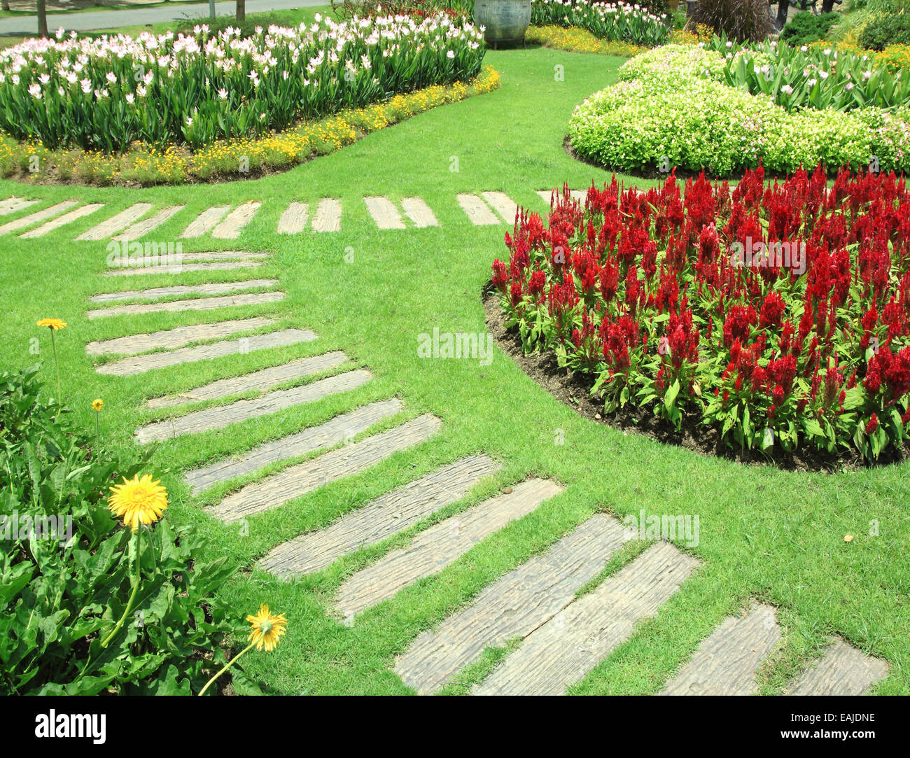 Natural green flower garden This forms the background Stock Photo - Alamy