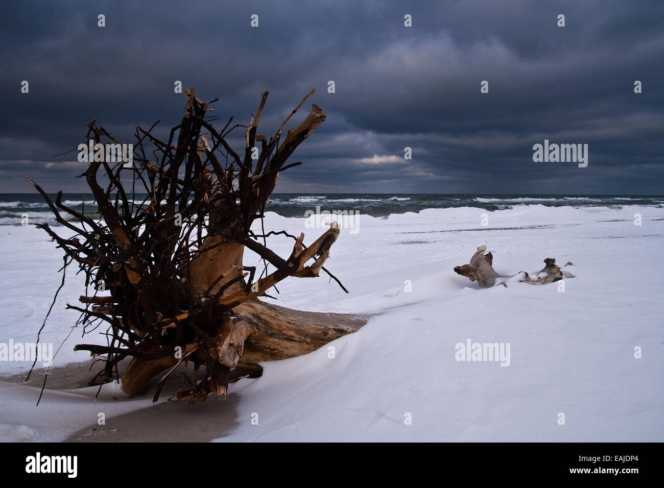 Baltic sea shore at winter Stock Photo - Alamy