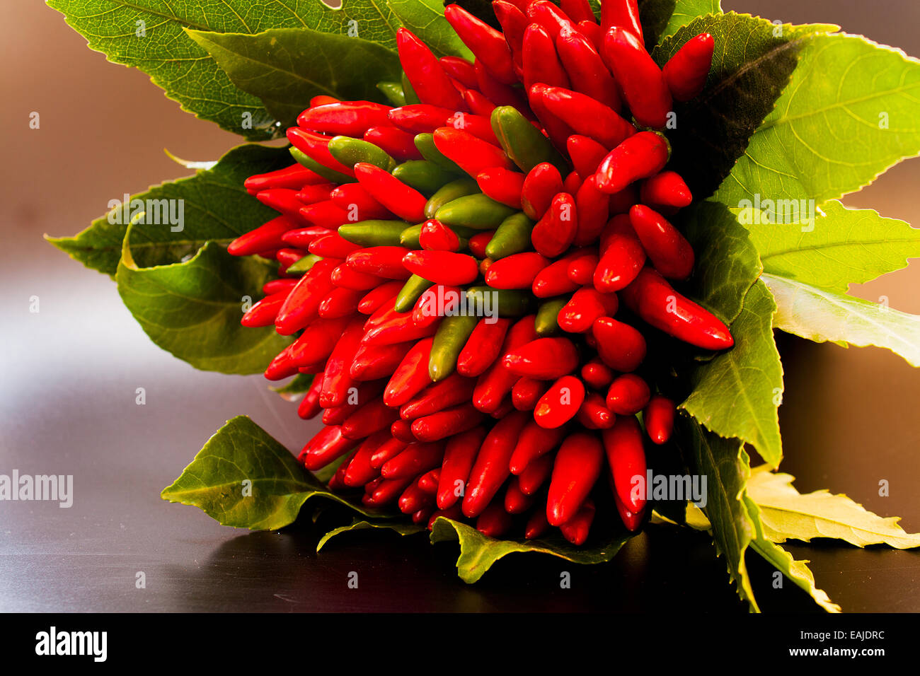 chiles strong photographed on bench Stock Photo - Alamy