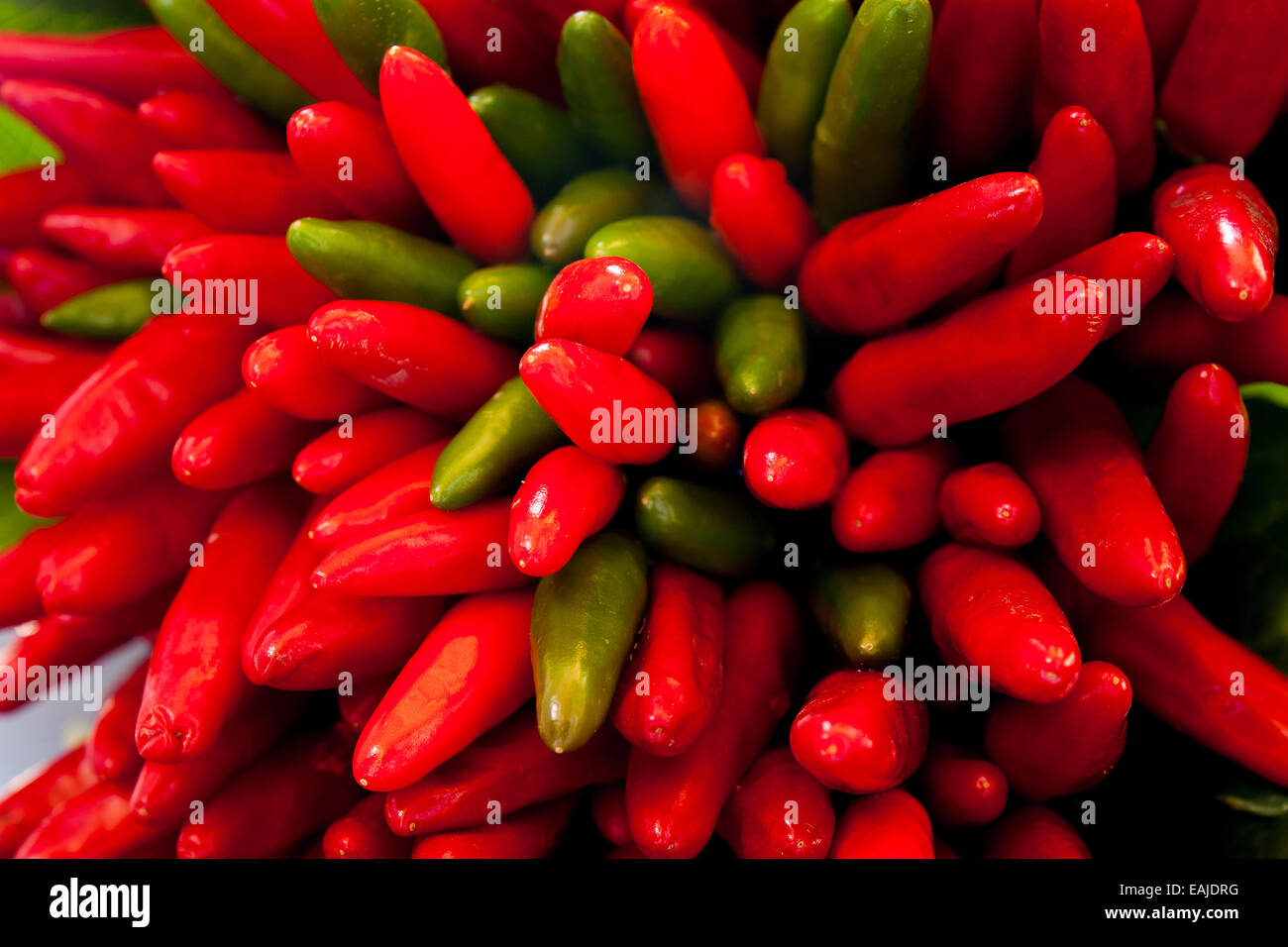chiles strong photographed on bench Stock Photo - Alamy