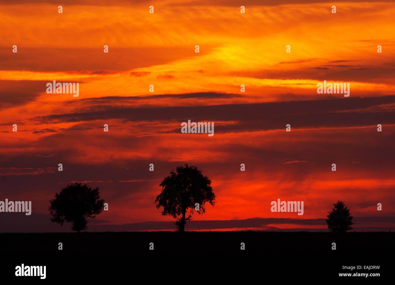 Beautiful sunset over field. Orange sky and illuminated clouds Stock ...