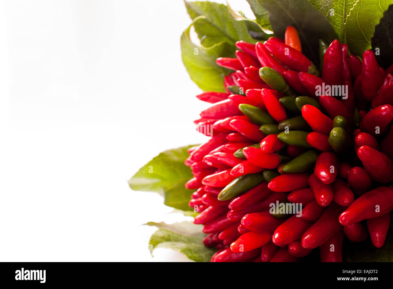 chiles strong photographed on bench Stock Photo - Alamy