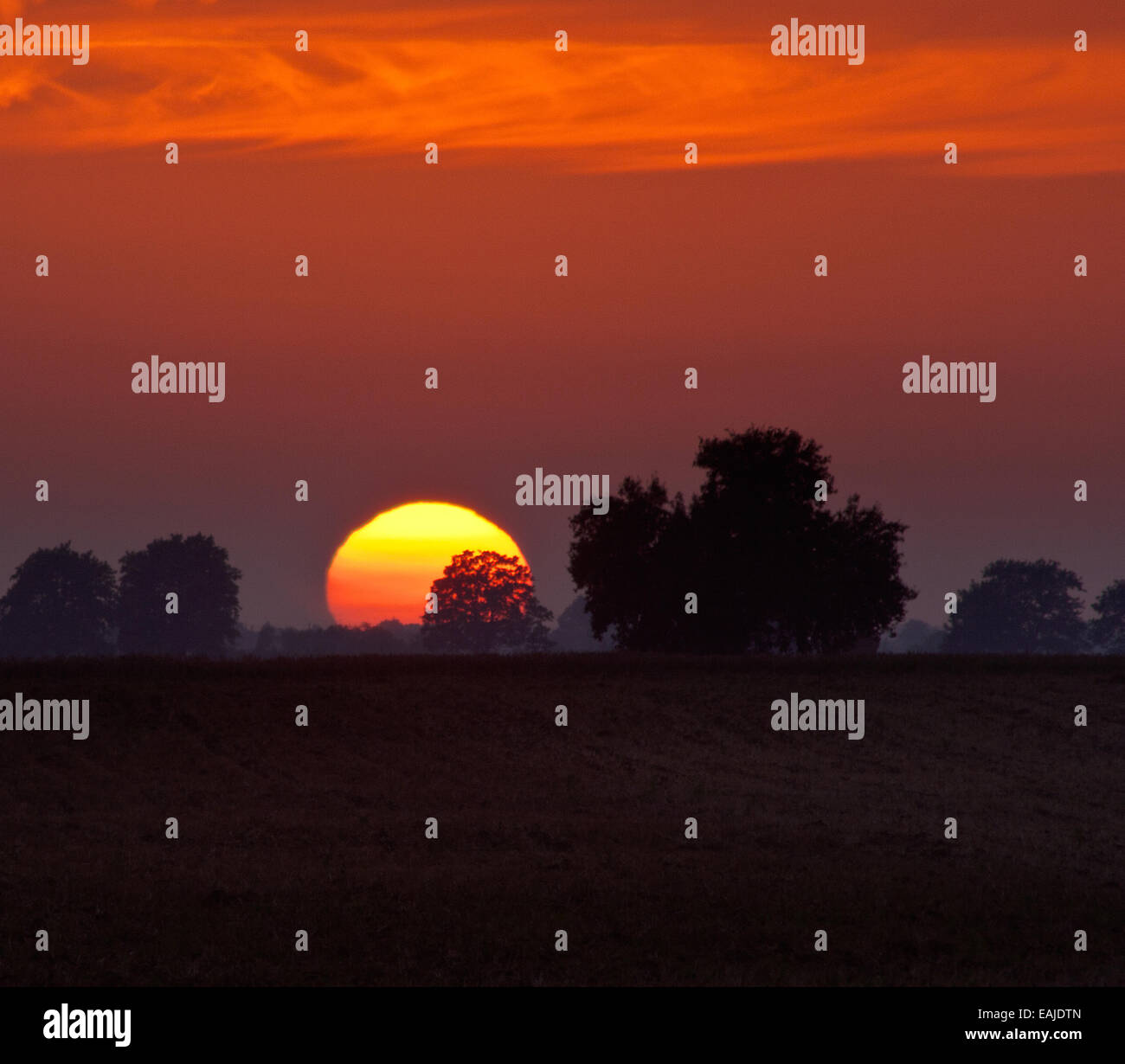 Beautiful sunset over field. Orange sky and illuminated clouds Stock ...