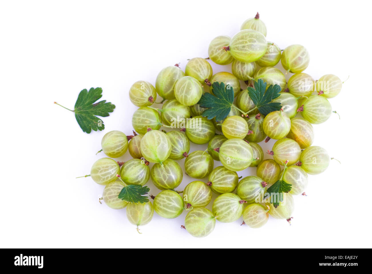 Fresh green gooseberry isolated on white background, fruits Stock Photo ...