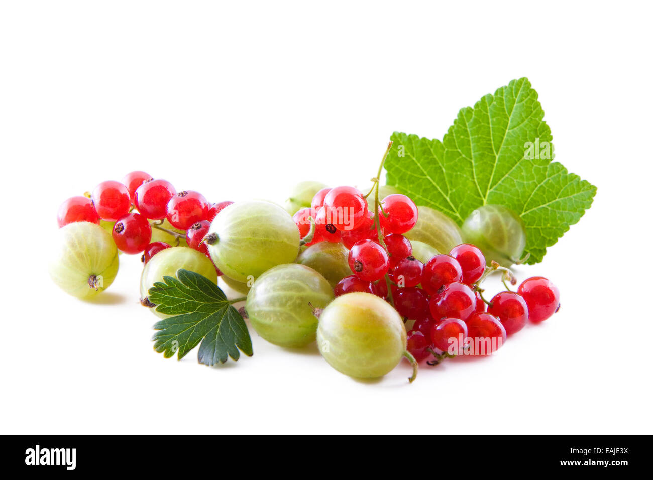 Red currants and green gooseberry isolated on white, fresh fruits Stock ...