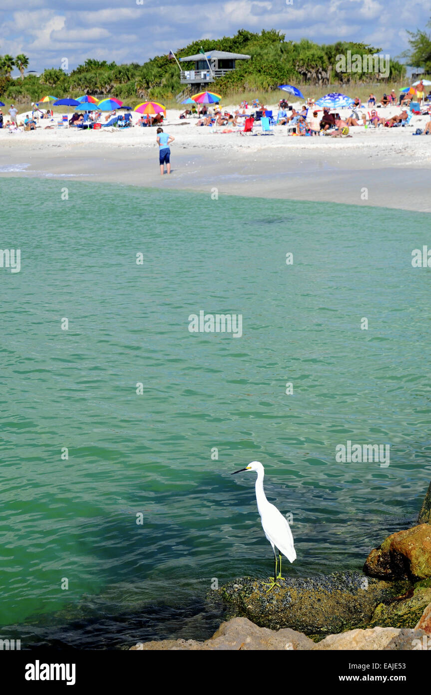Casey key hi-res stock photography and images - Alamy