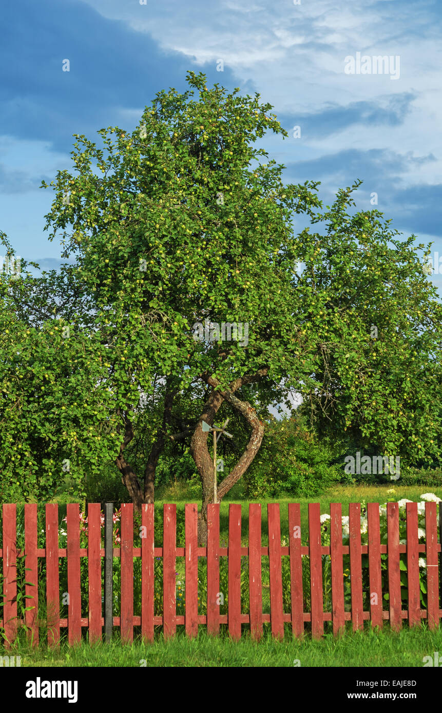 House behind fence near tree hi-res stock photography and images - Alamy