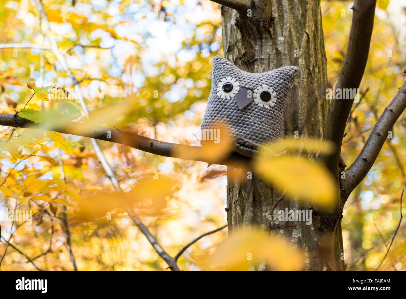 Soft toy owl hi-res stock photography and images - Alamy