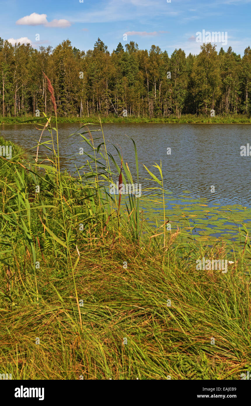 Dense layer of white cloud hi-res stock photography and images - Alamy