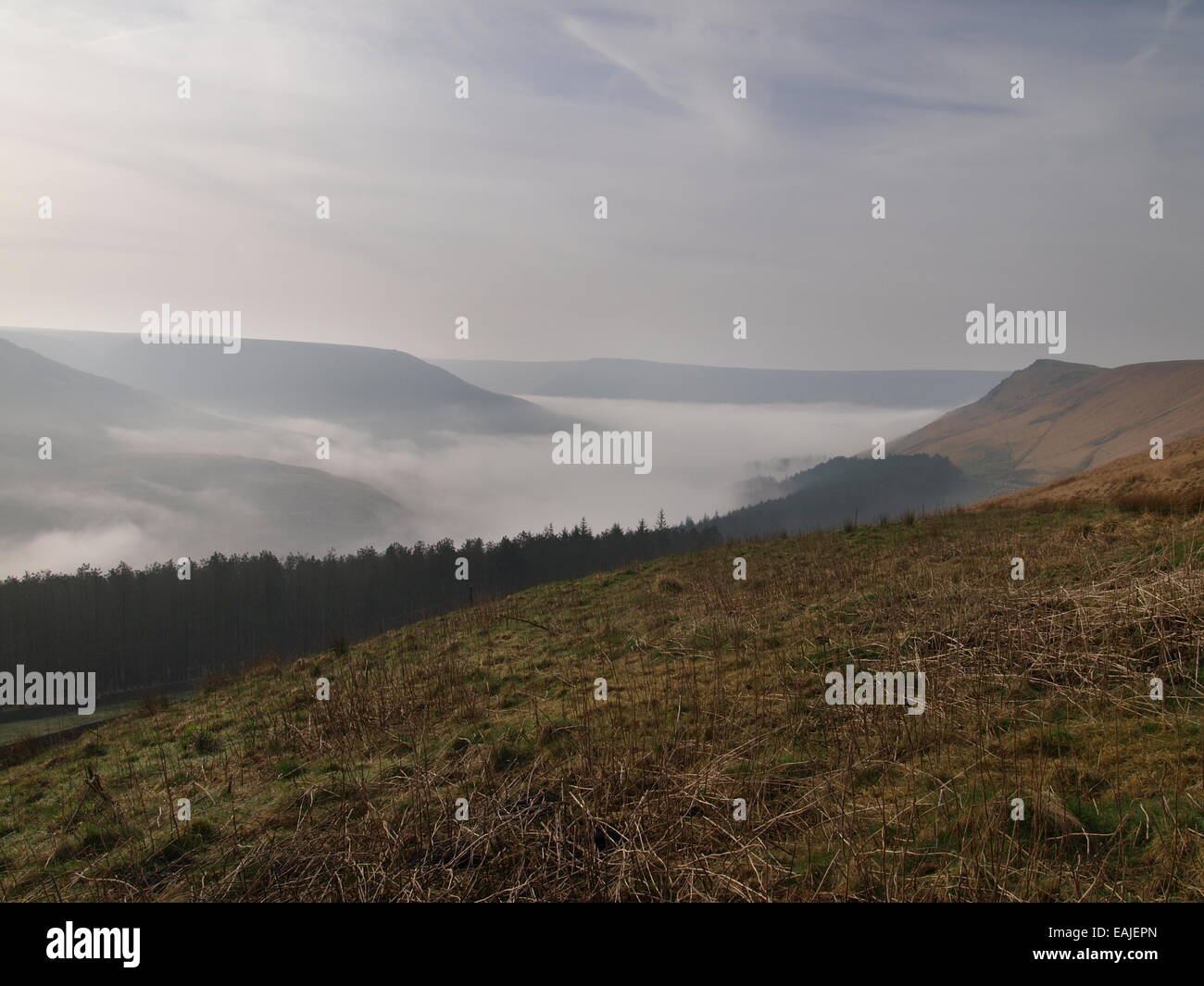 Bill o jacks plantation hi-res stock photography and images - Alamy