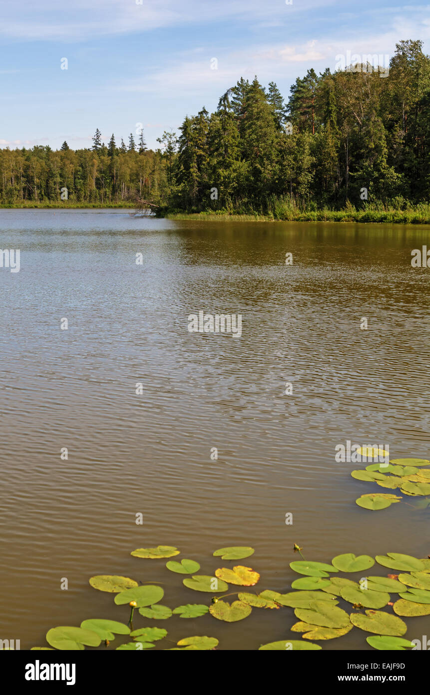 Dense layer of white cloud hi-res stock photography and images - Alamy