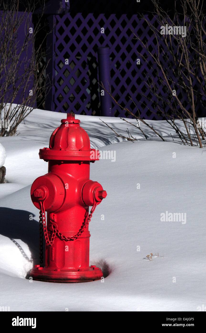 Colorful fire hydrant hi-res stock photography and images - Alamy