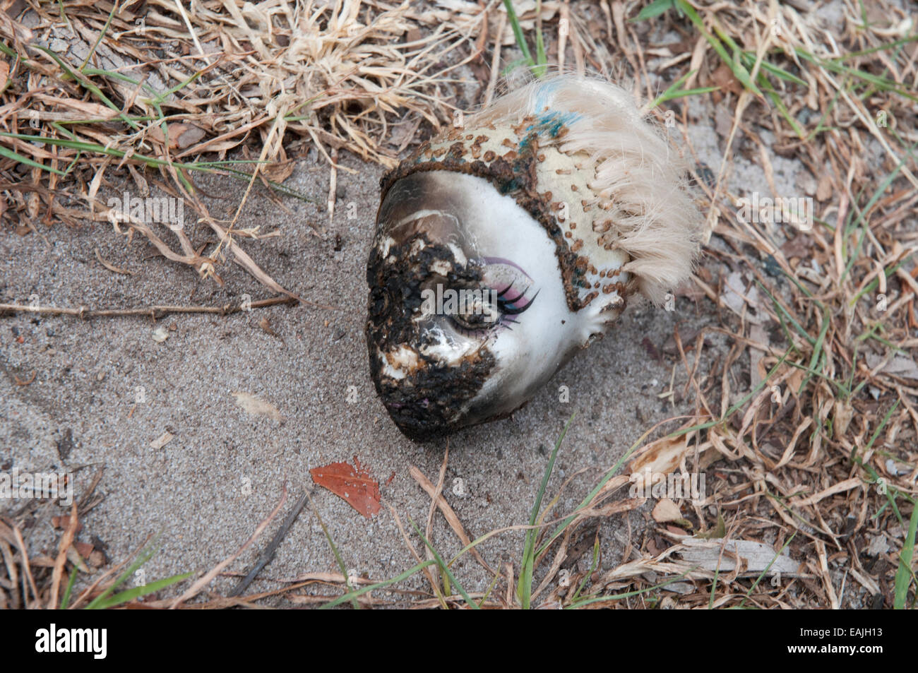 A discarded and singed doll's head, discarded near the seaside ...
