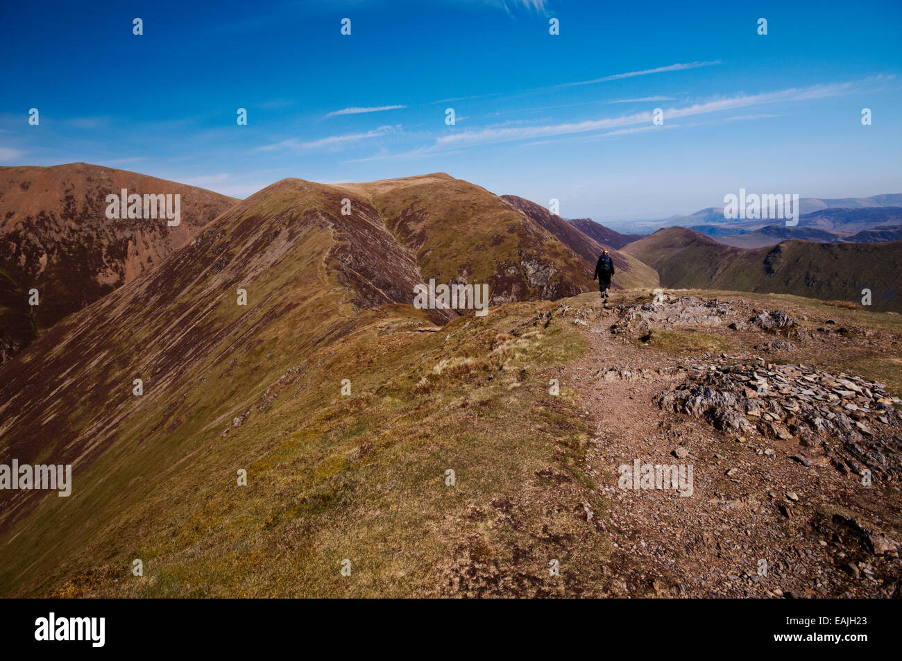 A hill walker leaves the summit of Whiteless Pike heading along ...