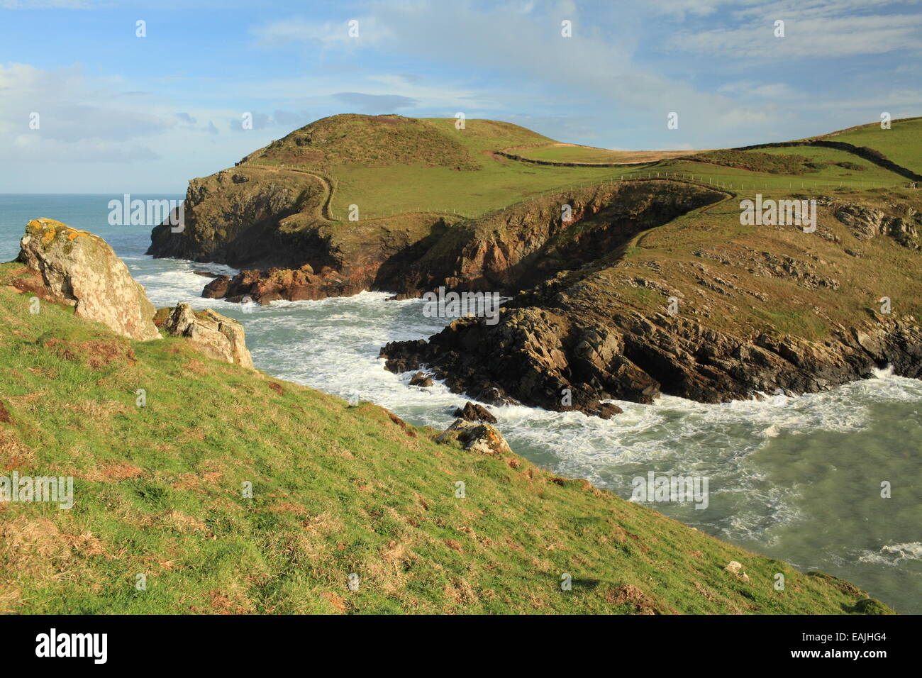 Kellan head, Port Quin, North Cornwall, England, UK Stock Photo - Alamy