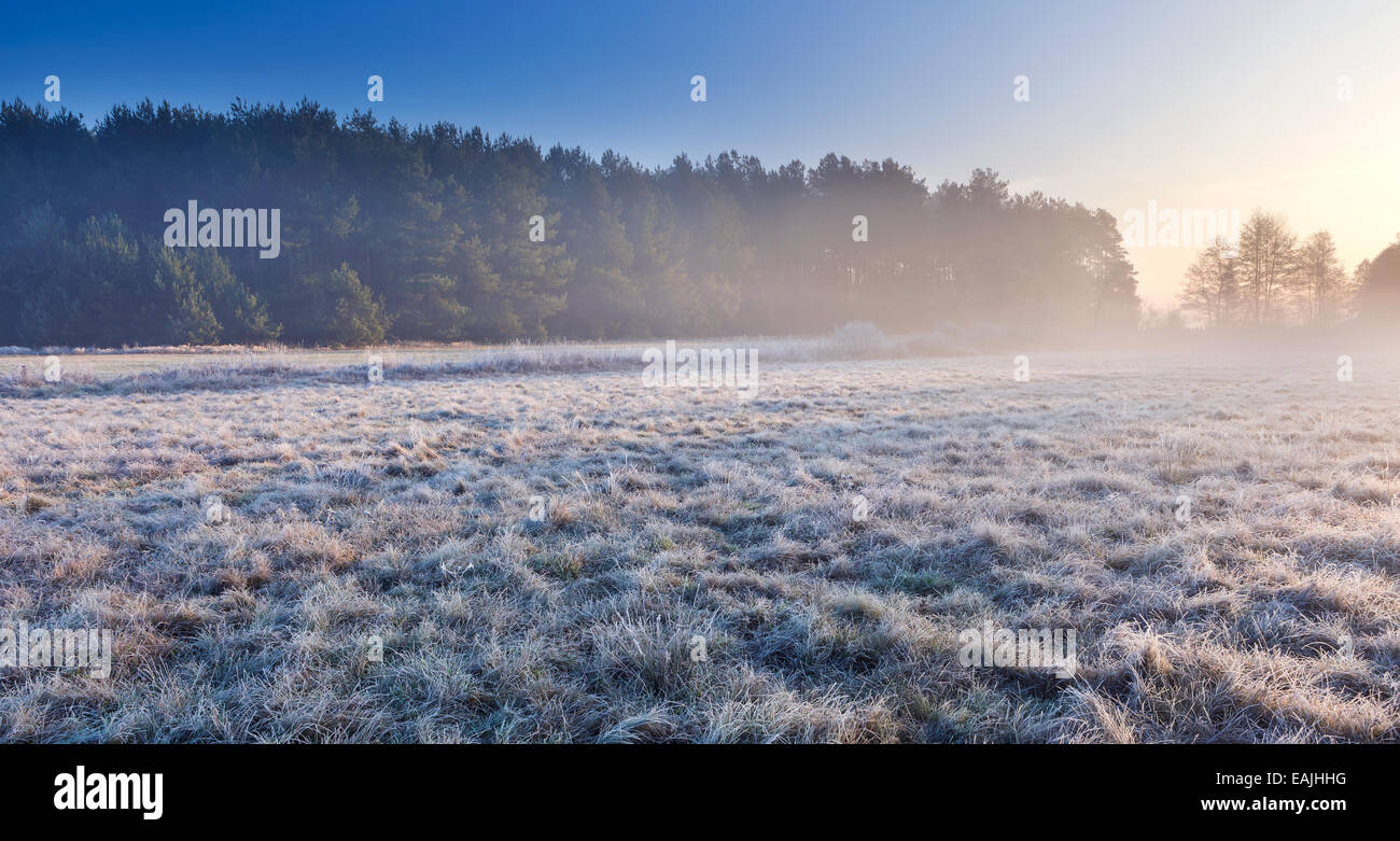 Frosty morning landscape Stock Photo - Alamy