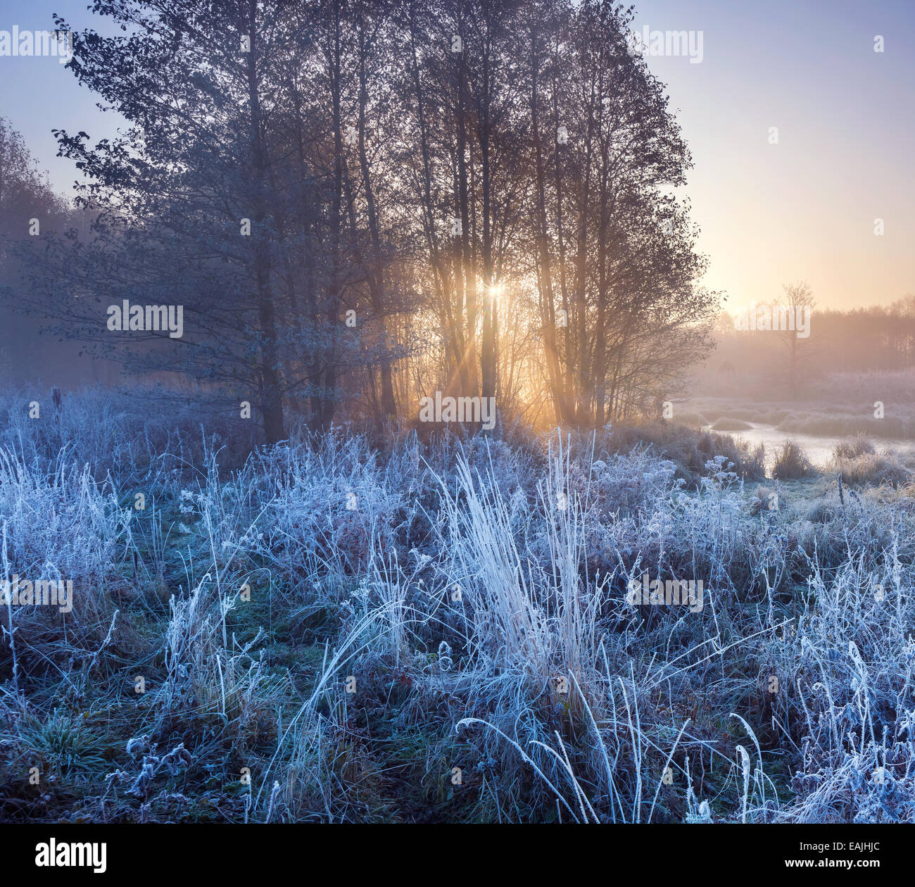 Frosty morning landscape Stock Photo - Alamy