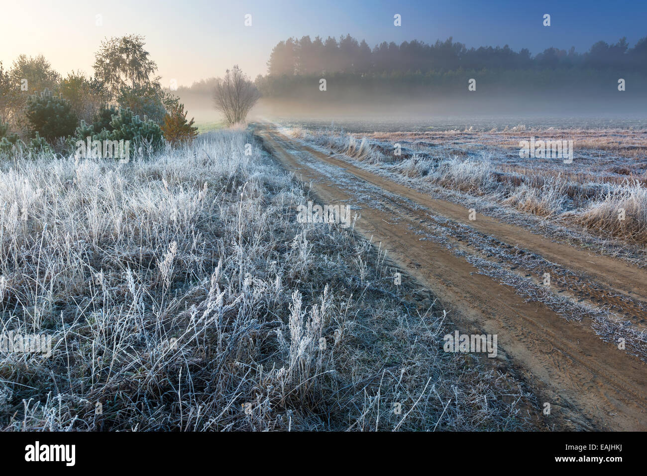Frosty morning landscape Stock Photo - Alamy