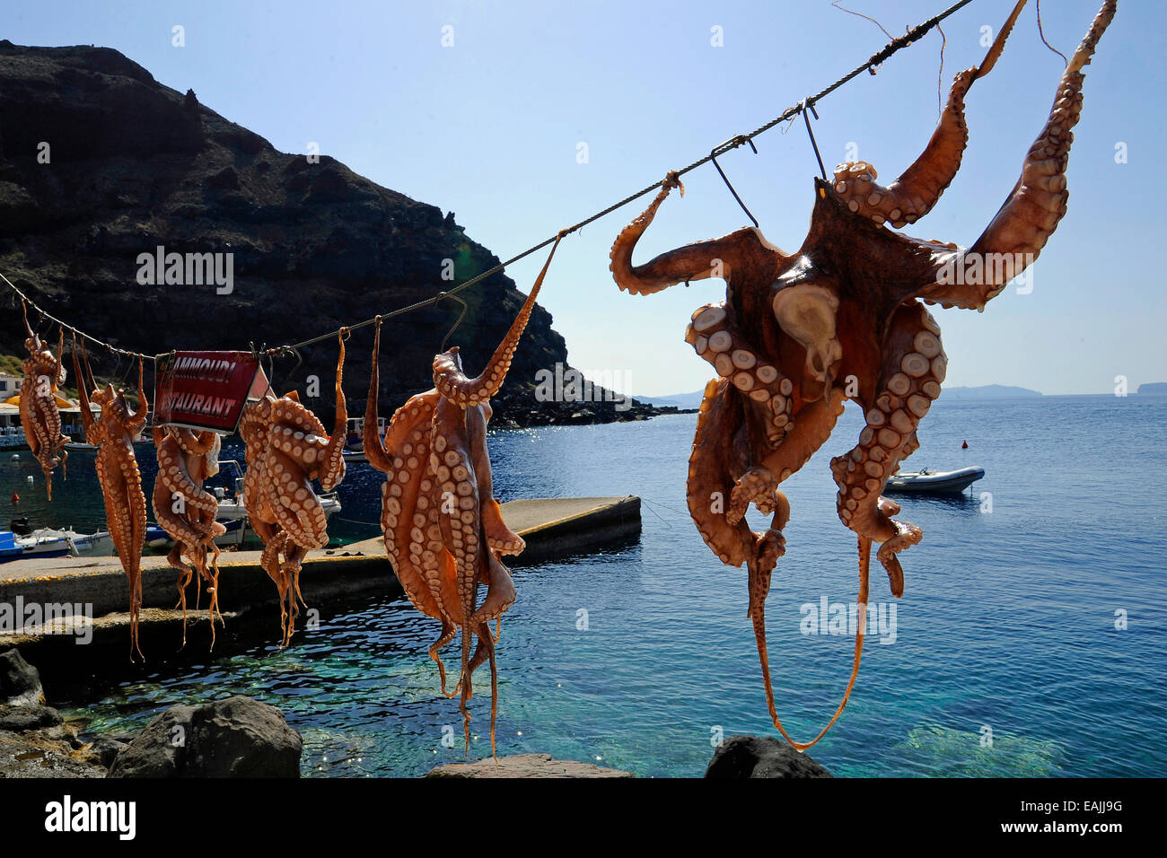octopus hanging by restaurant in Oia, Santorini Stock Photo - Alamy