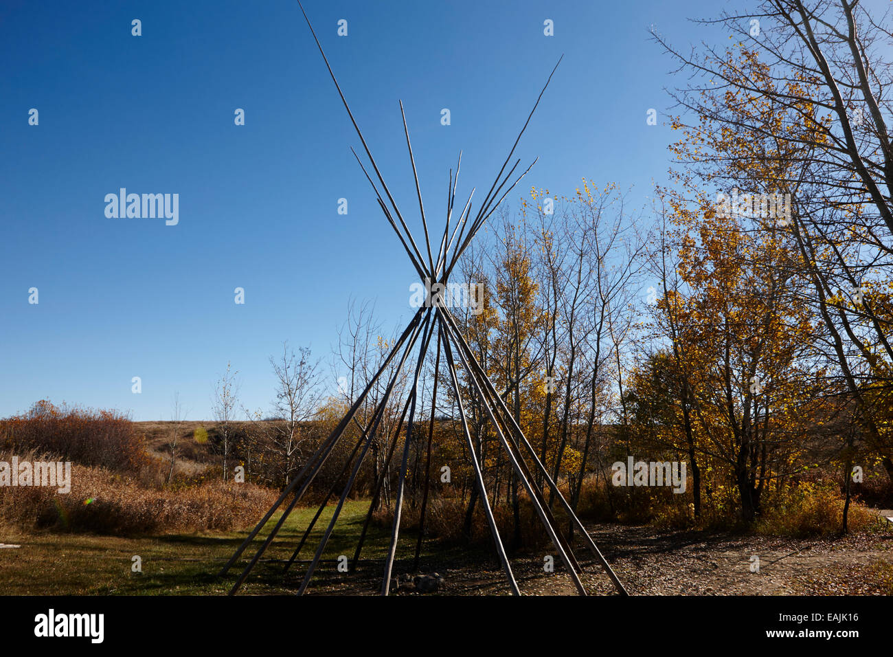 tipi wooden frame at Wanuskewin heritage park saskatoon Saskatchewan ...