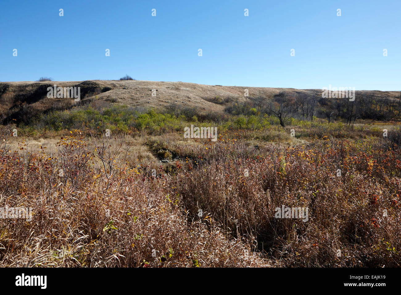 creek valley in Wanuskewin heritage park saskatoon Saskatchewan Canada ...