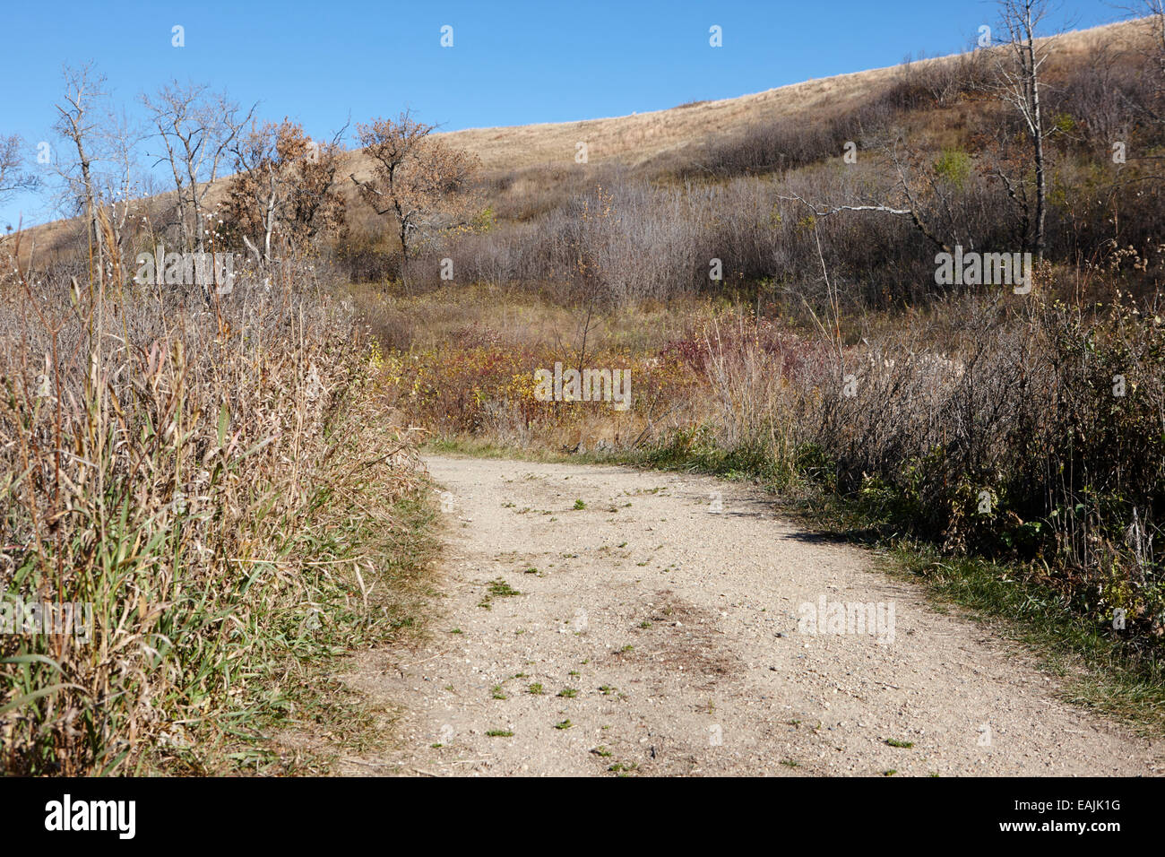 Heritage pathway hi-res stock photography and images - Alamy