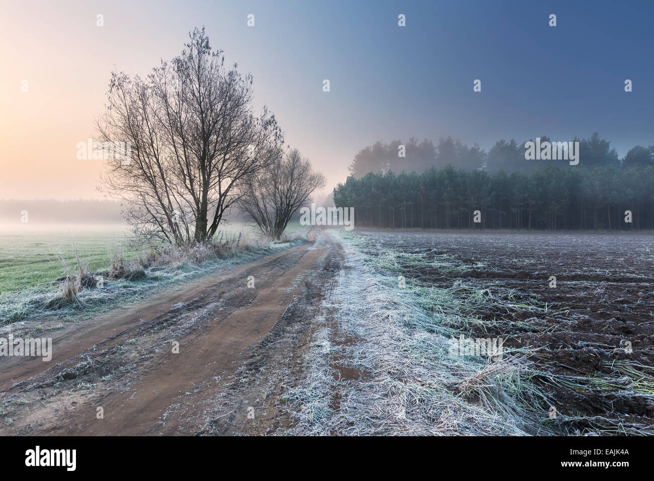 Frosty morning landscape Stock Photo - Alamy
