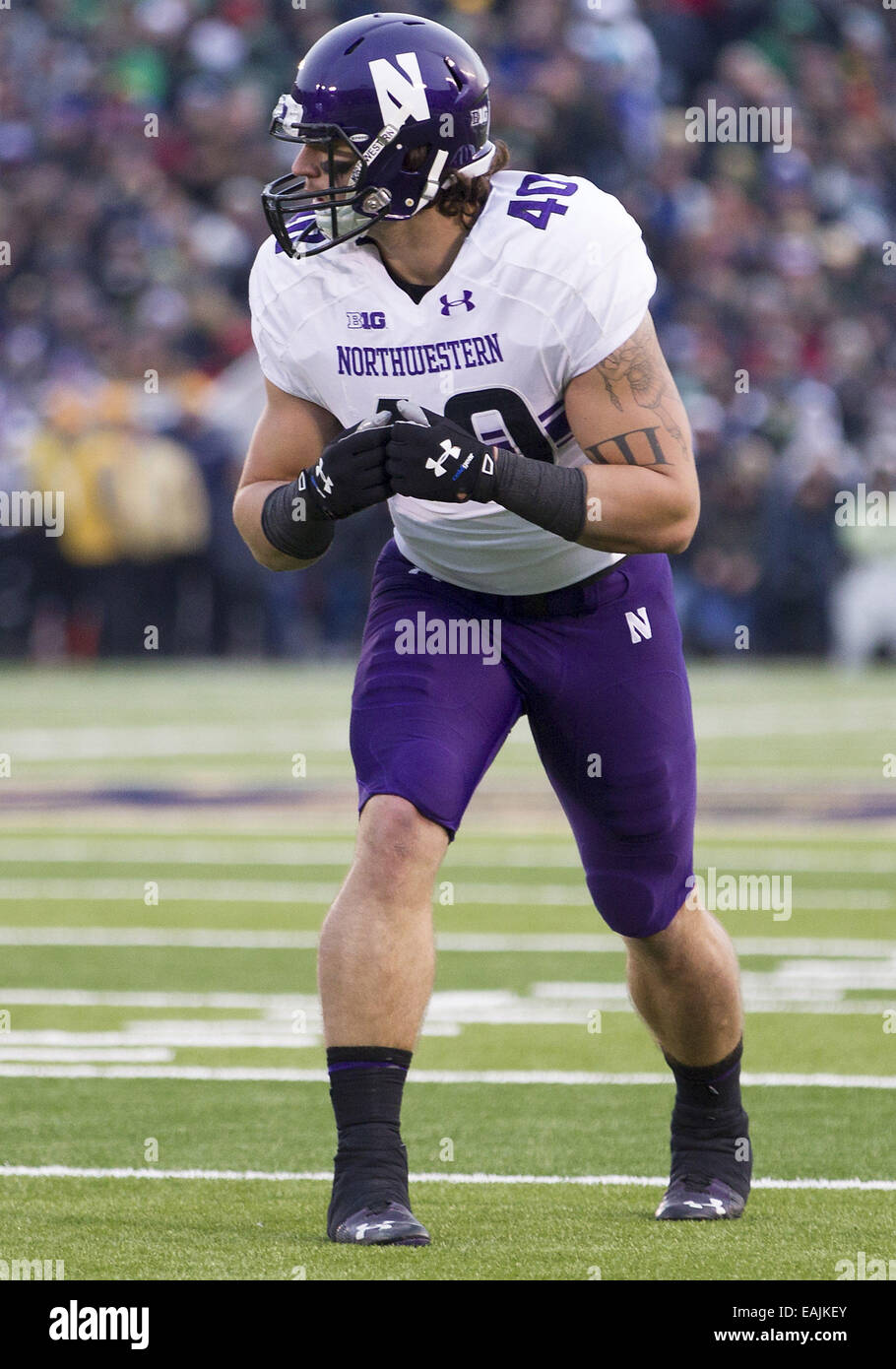 Dan Vitale Northwestern