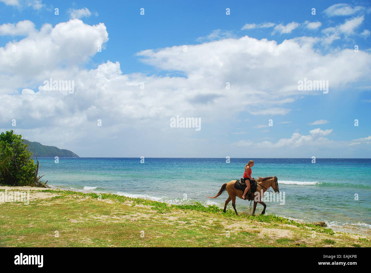 Woman riding horse on a beach on the island of St. Croix, US Virgin ...