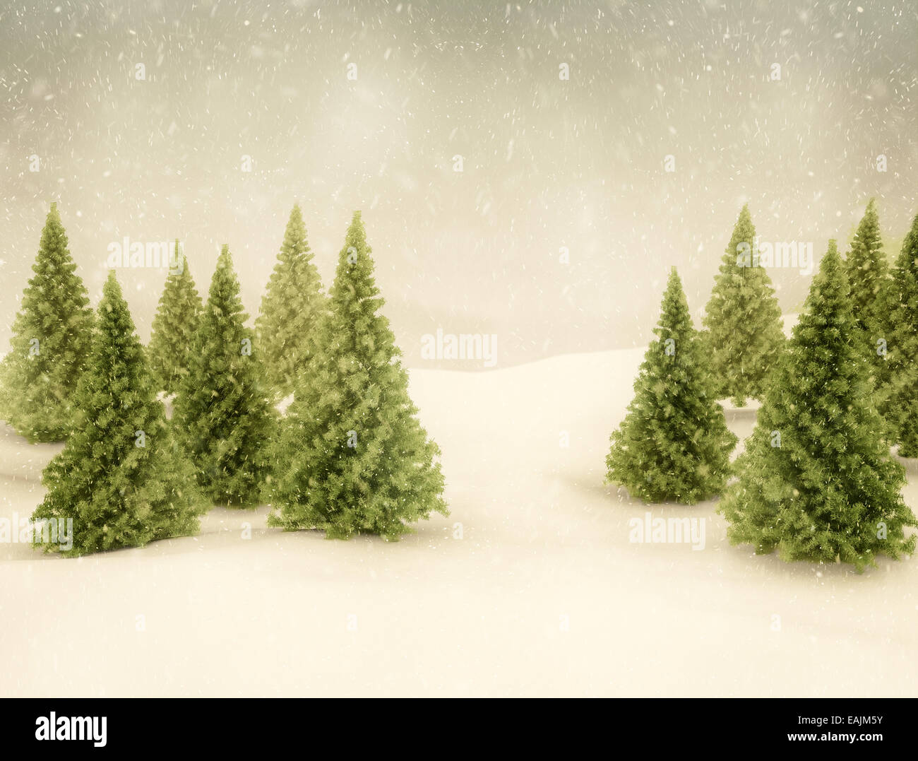 Winter scene snow blue sky and green pine trees Stock Photo - Alamy