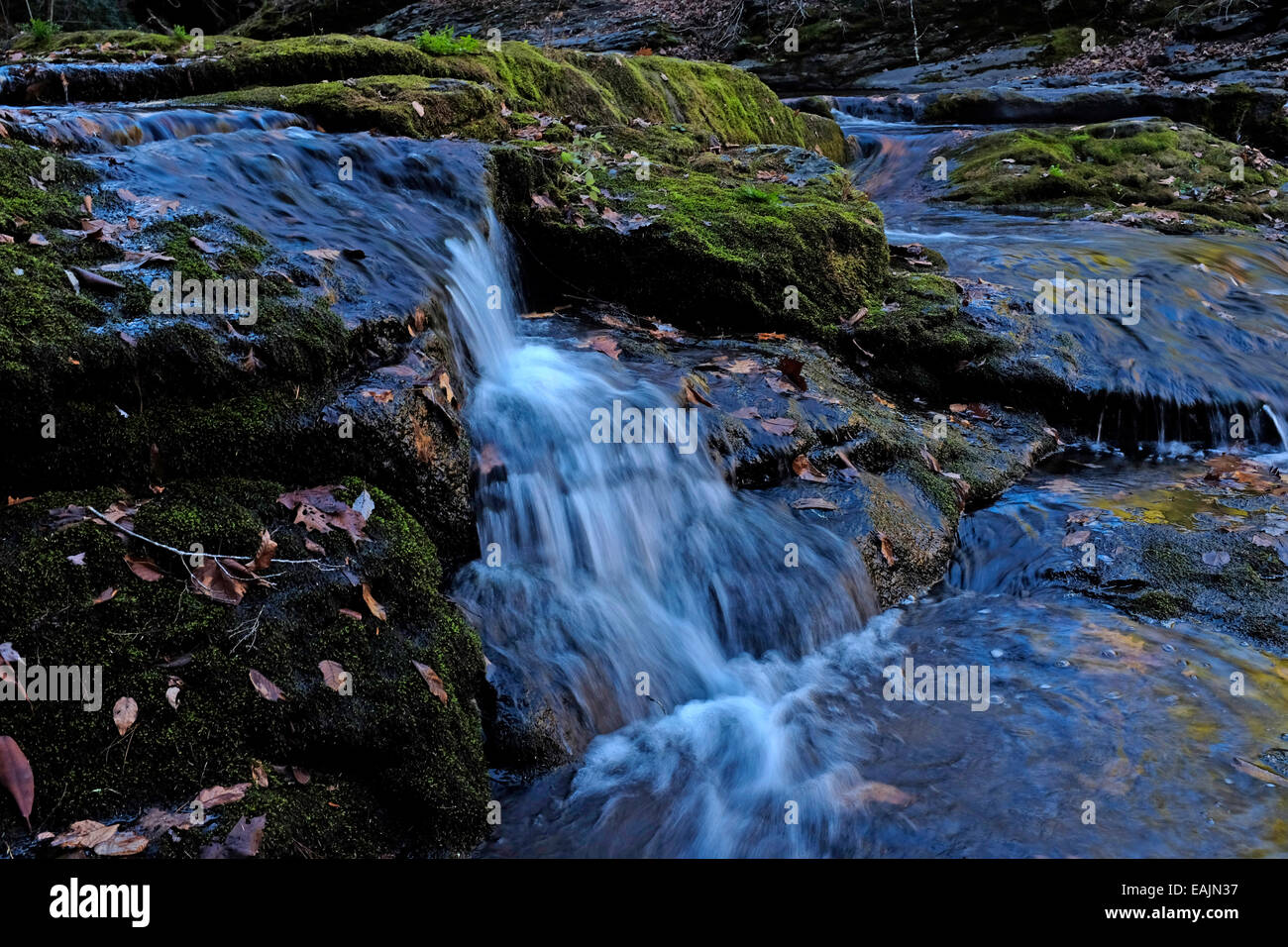 Rushing stream near Dingmans Falls, Pennsylvania Stock Photo - Alamy