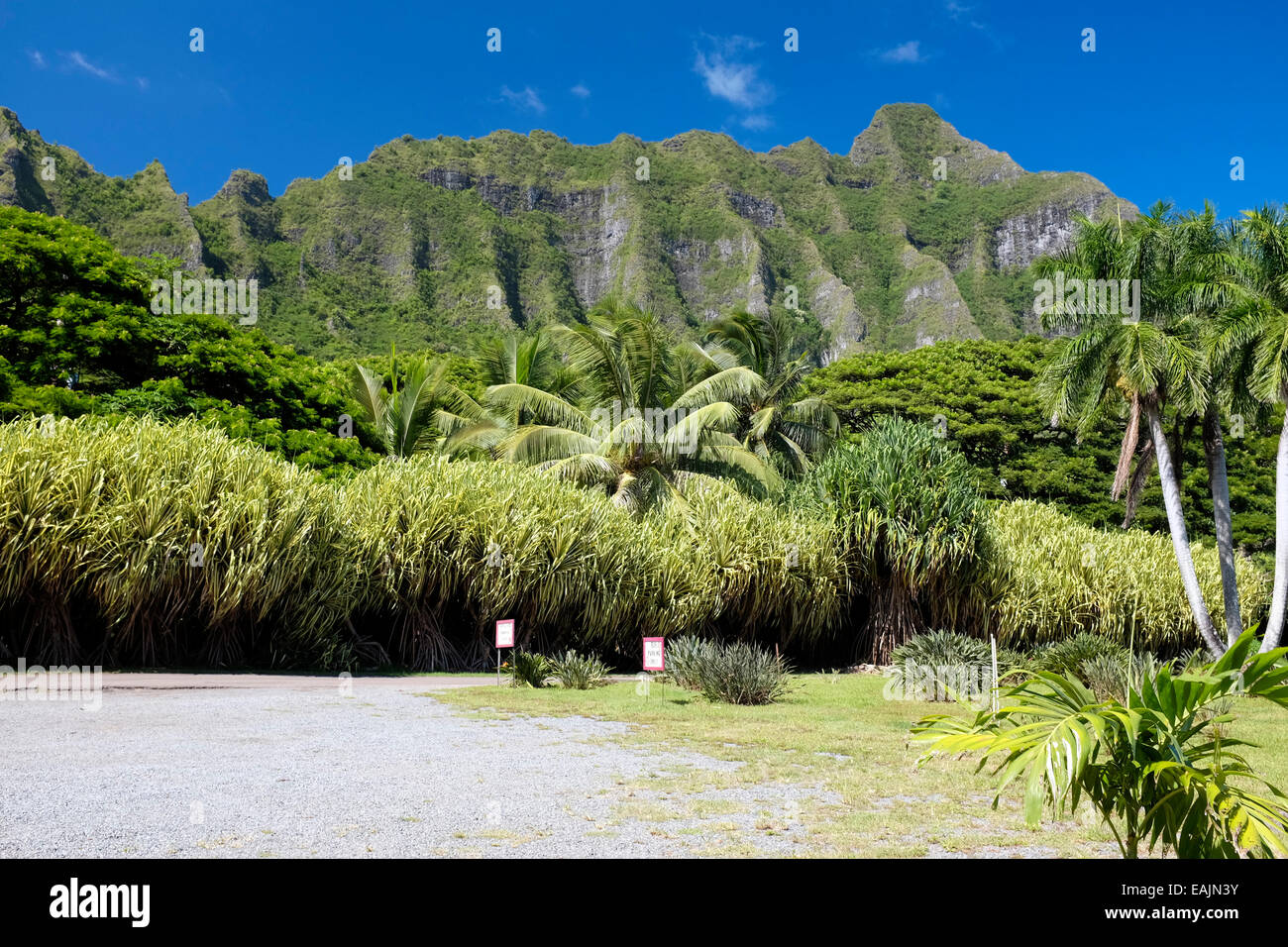 Mountain in Oahu, Hawaii Stock Photo - Alamy