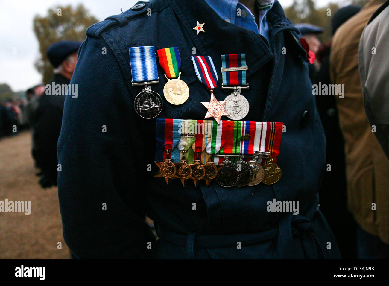 London, UK. 16th November, 2014. 80th Annual Remembrance Parade ...